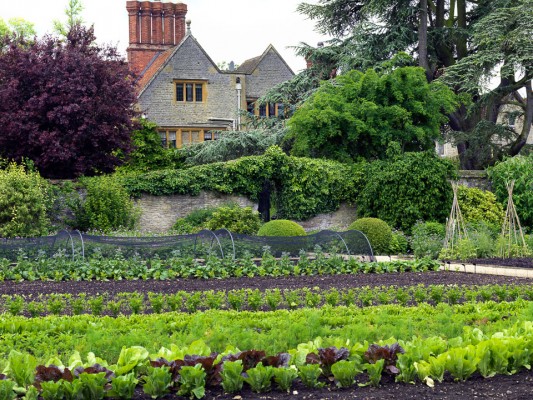 Celebrity Gardeners’ Tips