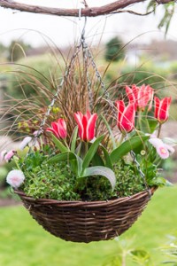 Practical Projects – Nicola Stocken