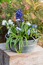 Practical Projects – Nicola Stocken