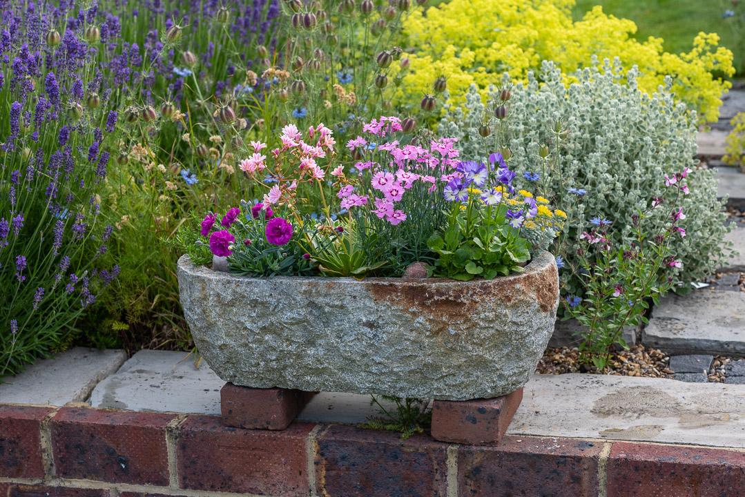 Alpine Trough Step-by-Step – Nicola Stocken