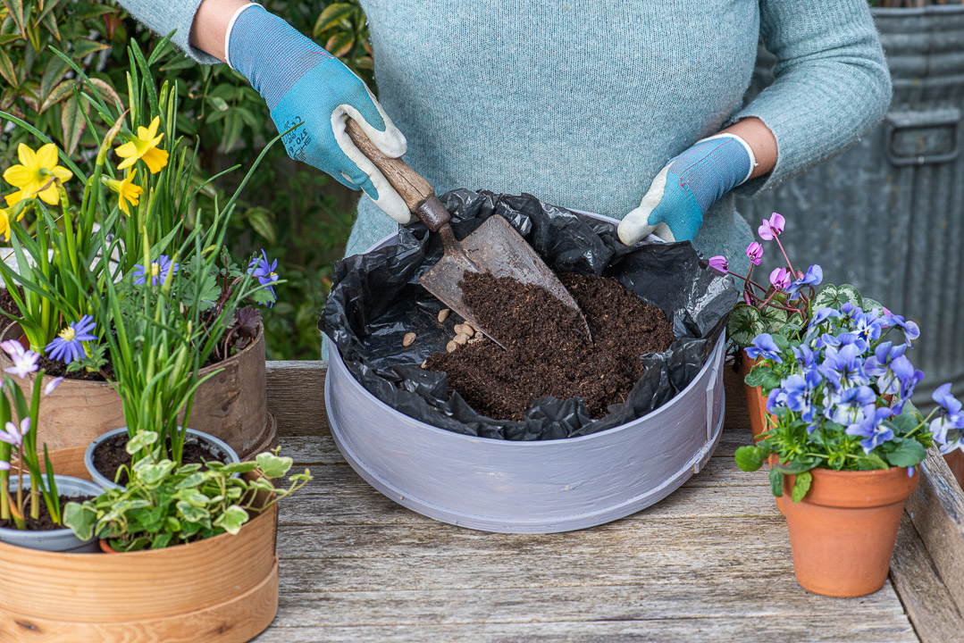 Planting Flour Sieves Step-by-Step – Nicola Stocken