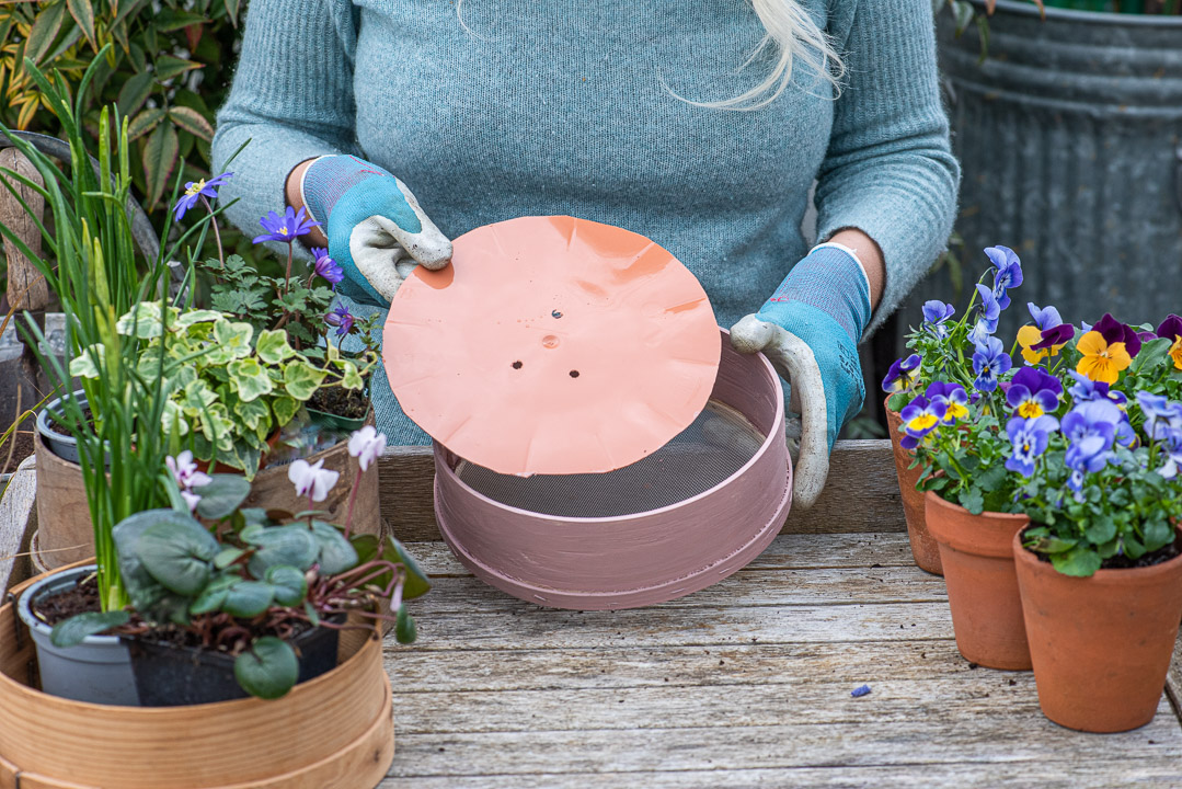 Planting Flour Sieves Step-by-Step – Nicola Stocken