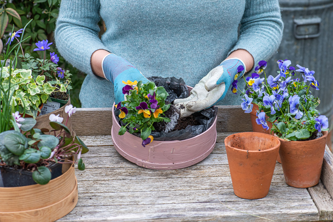 Planting Flour Sieves Step-by-Step – Nicola Stocken