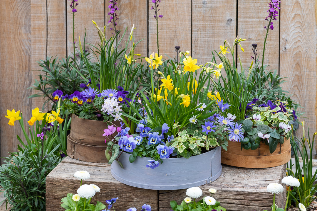 Planting Flour Sieves Step-by-Step – Nicola Stocken