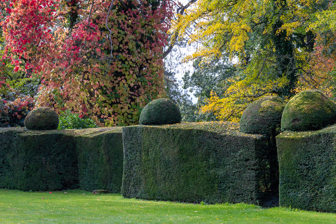 Hergest Croft Garden in Autumn – Nicola Stocken