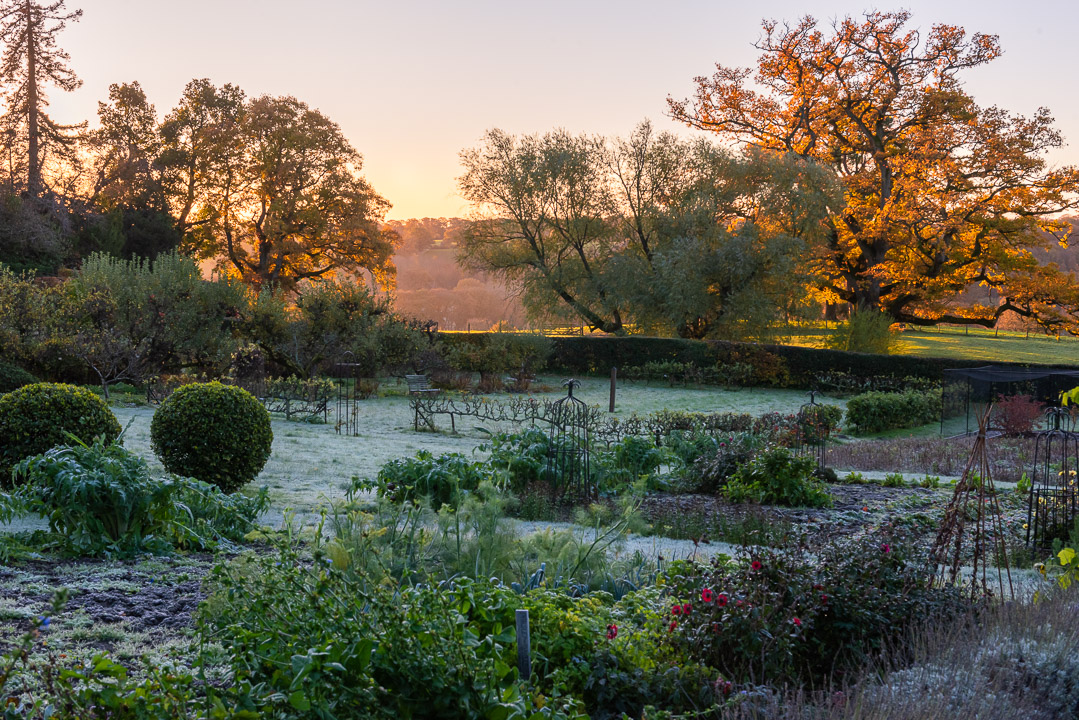 Hergest Croft Garden in Autumn – Nicola Stocken