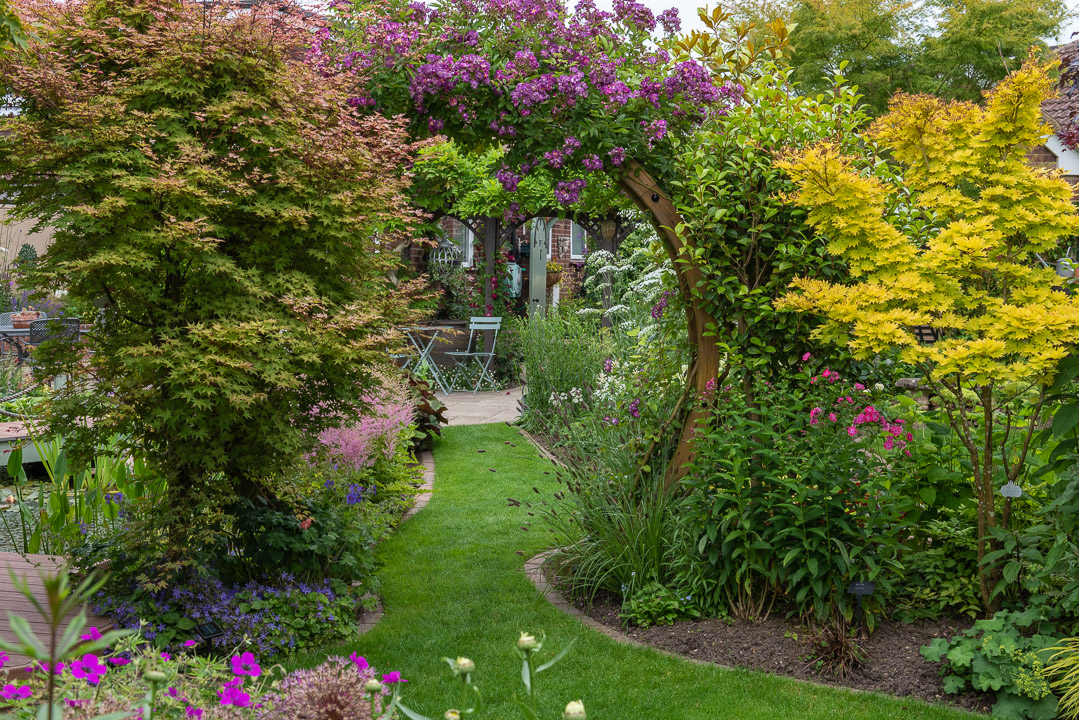 Jill’s Gorgeous Garden in June – Nicola Stocken