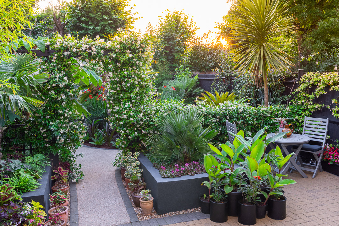 Sam’s Garden August – Nicola Stocken