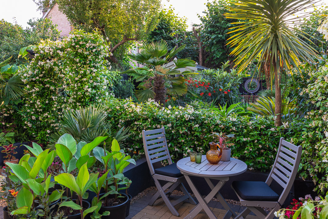 Sam’s Garden August – Nicola Stocken