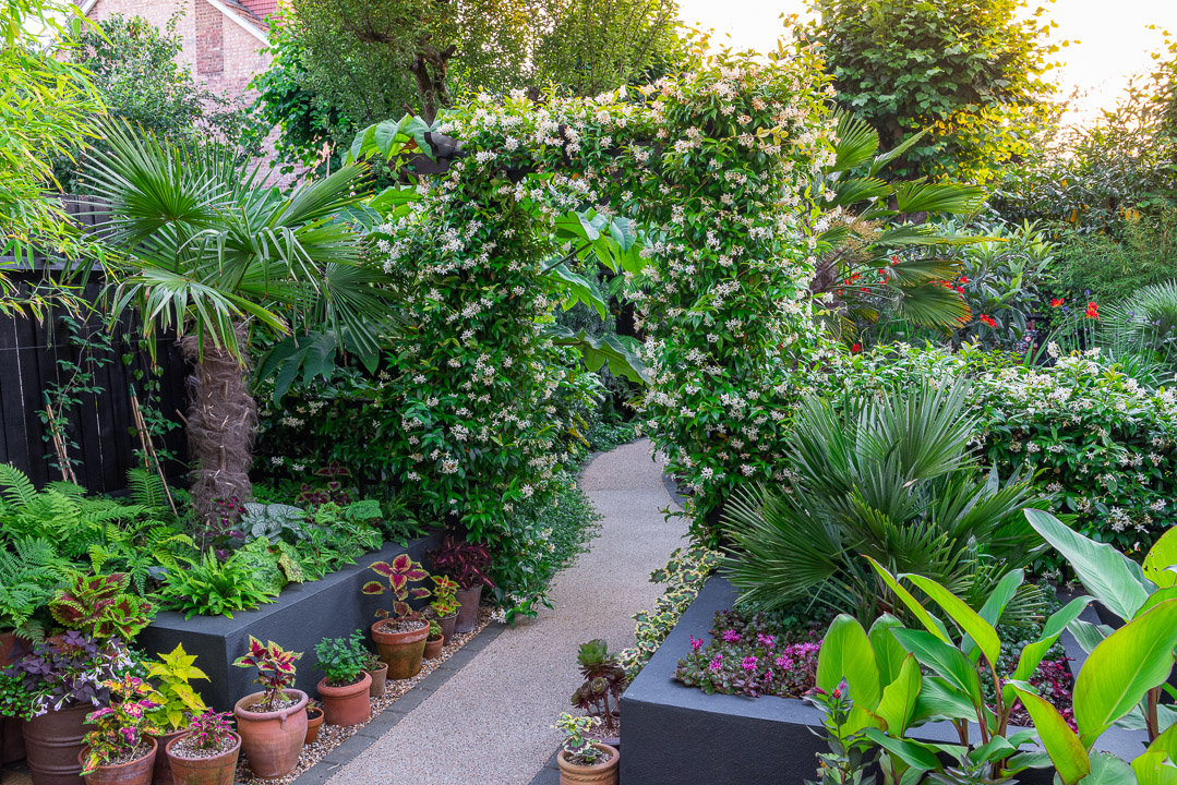 Sam’s Garden August – Nicola Stocken