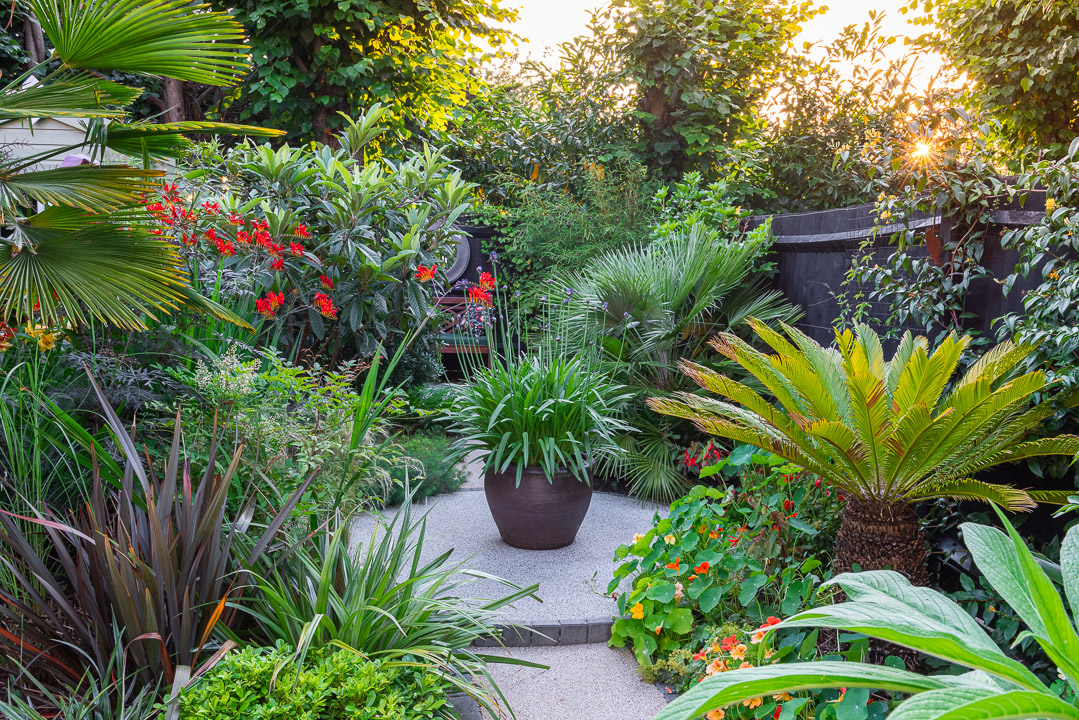 Sam’s Garden August – Nicola Stocken