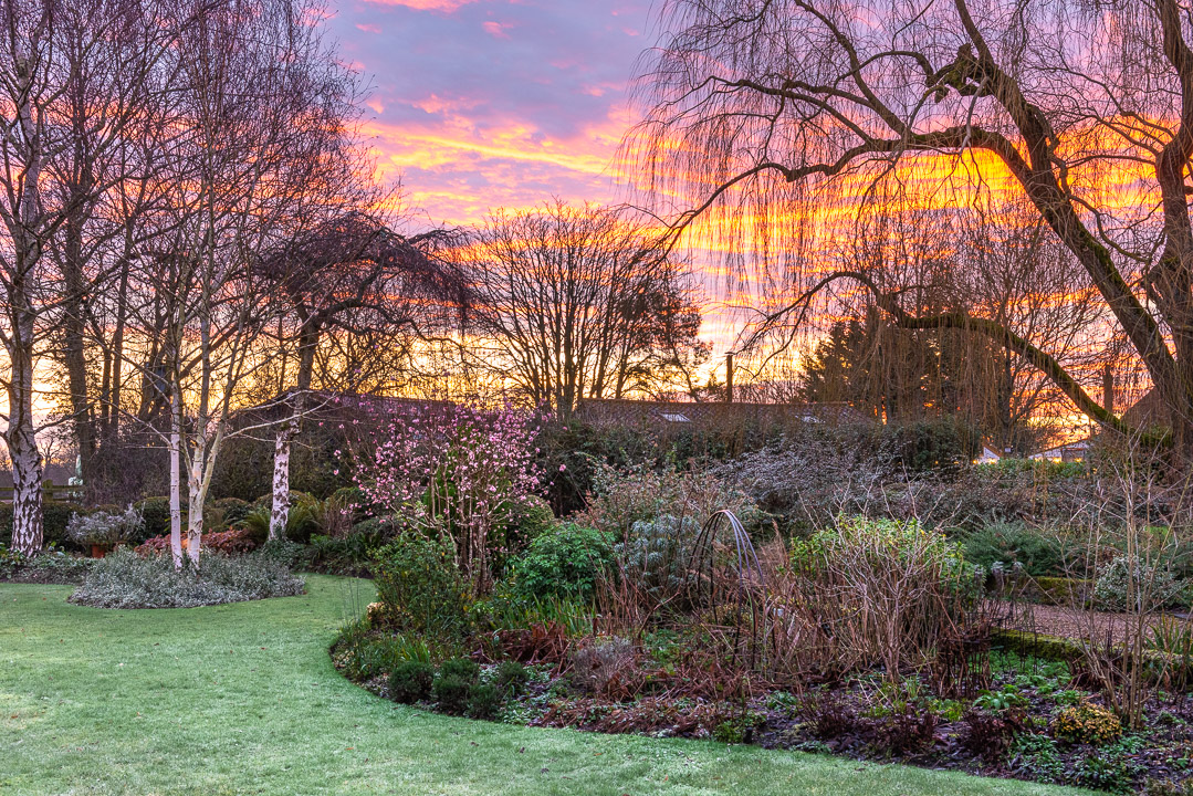 Trees for Every Season – Nicola Stocken